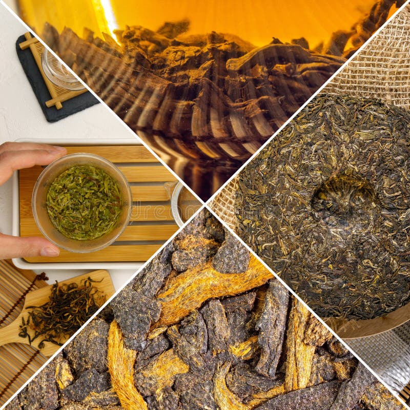 Assortment of Dry Tea Collage. Tea Composition with Different Kind of ...