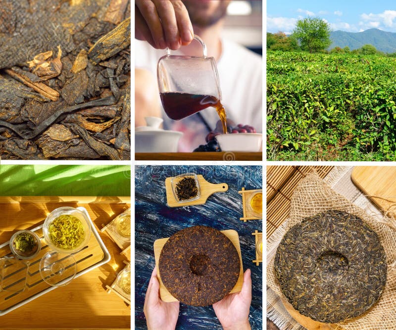 Assortment of Dry Tea Collage. Tea Composition with Different Kind of ...