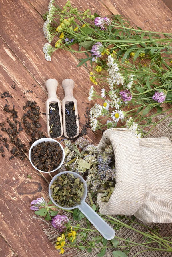 Assortment of Dry Teas and Herbs Stock Photo - Image of aroma, flower ...