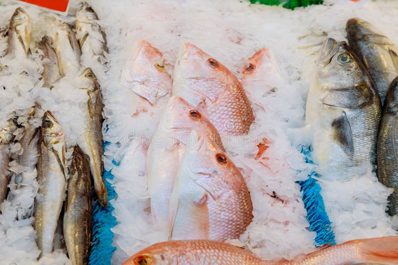 Assortment of raw fish stock image. Image of ingredient - 42357737