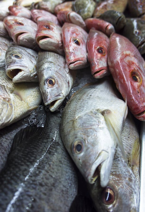 Assortment of fishes stock photo. Image of cool, ingredient - 30146468