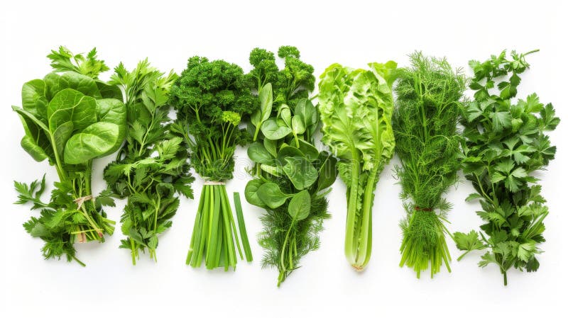 Assortment of Fresh Culinary Herbs on White Background Stock Image ... Assortment of Fresh Culinary Herbs on White Background Stock Image ...