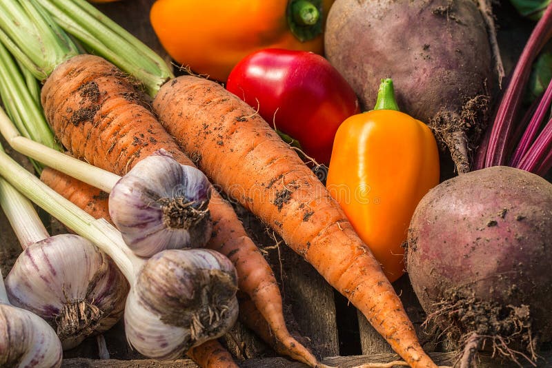 Assortment of Fresh Vegetables Close Up. Stock Photo - Image of autumn ...