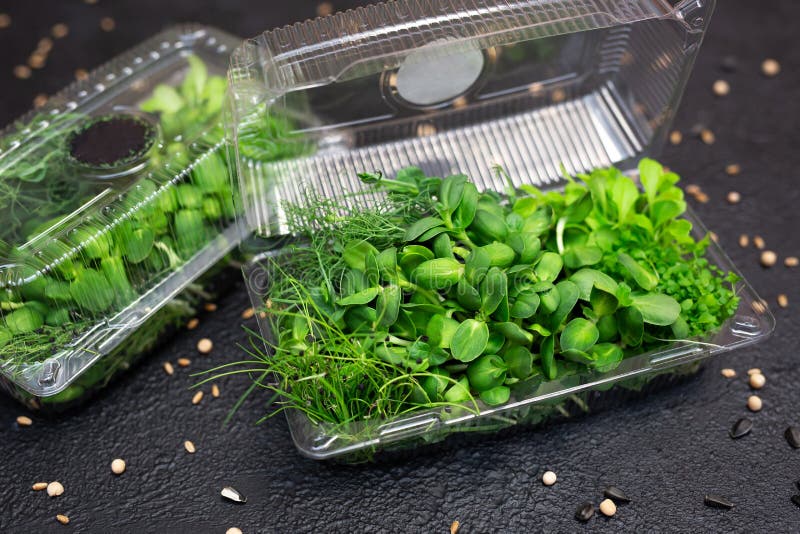 Assortment of Micro-greens in the Box. Mix Stock Image - Image of food ...