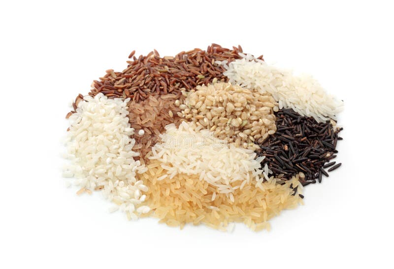 Assortment of rice stock image. Image of group, polished - 20381595