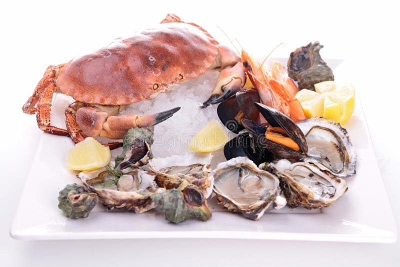 Assortment of seafood stock photo. Image of culinary - 27643788