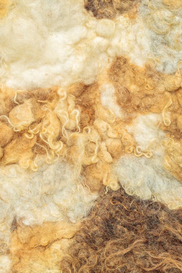 Assortment of sheep wool stock photo. Image of heap - 100566742