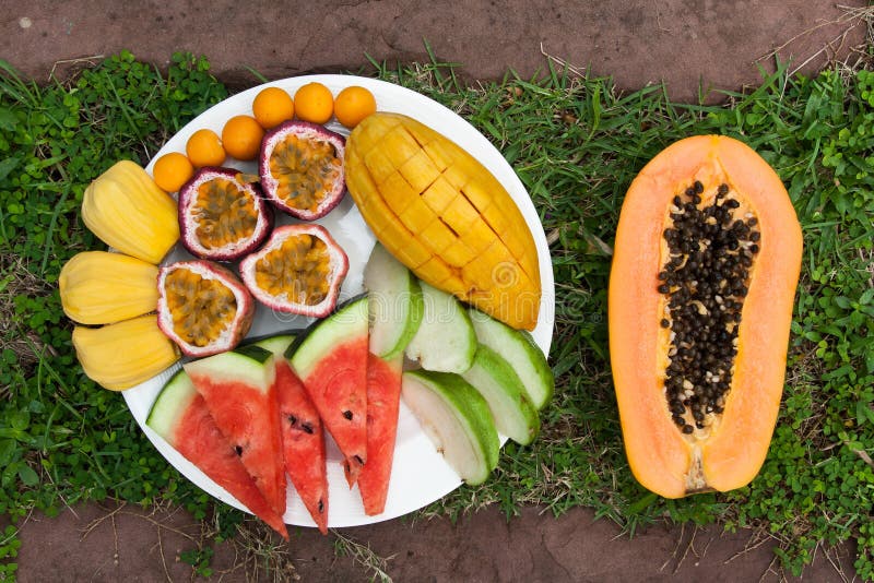 Assortment of Sliced Tropical Fruits on on a Background of Green Grass ...