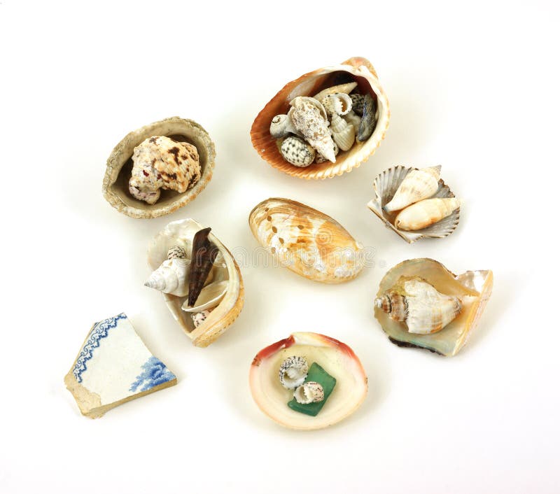 Assortment small shells stock image. Image of holding - 12653907
