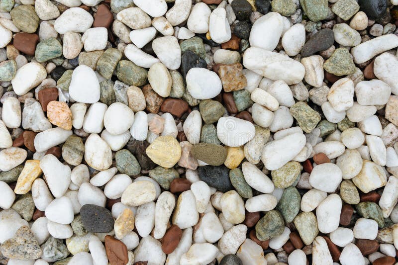 Assortment of Smooth Multi-colored Pebbles Covering the Ground in ...