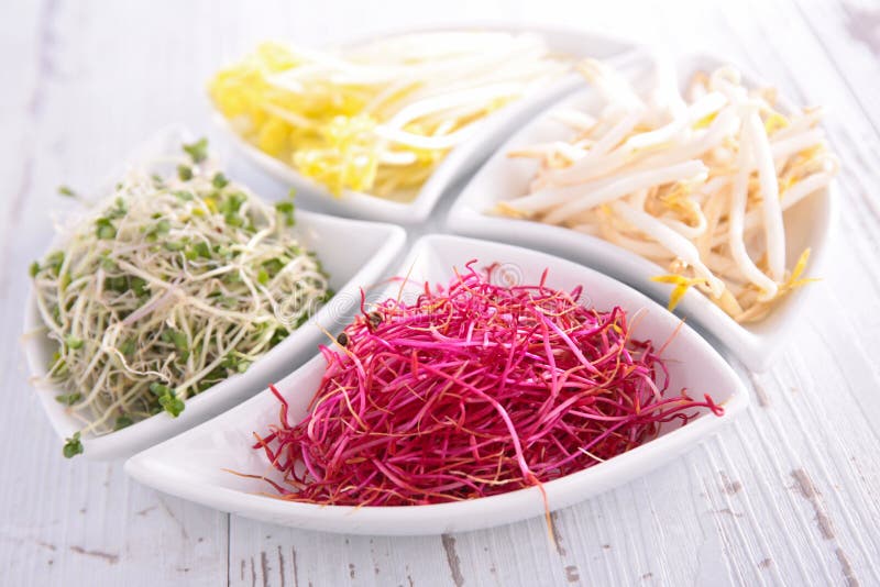 Assortment sprouts stock image. Image of nutrition, assortment - 48434927