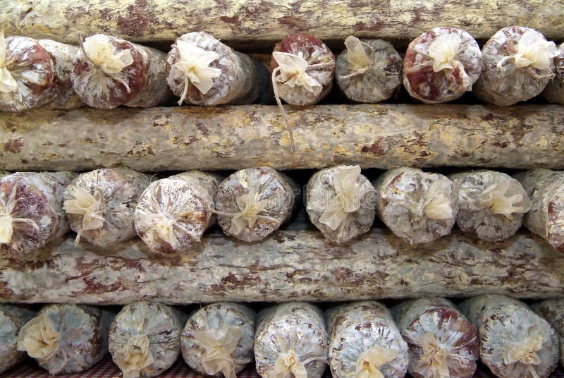 Assortment of Stacked Raw Salami Stock Photo - Image of pepper, diet ...