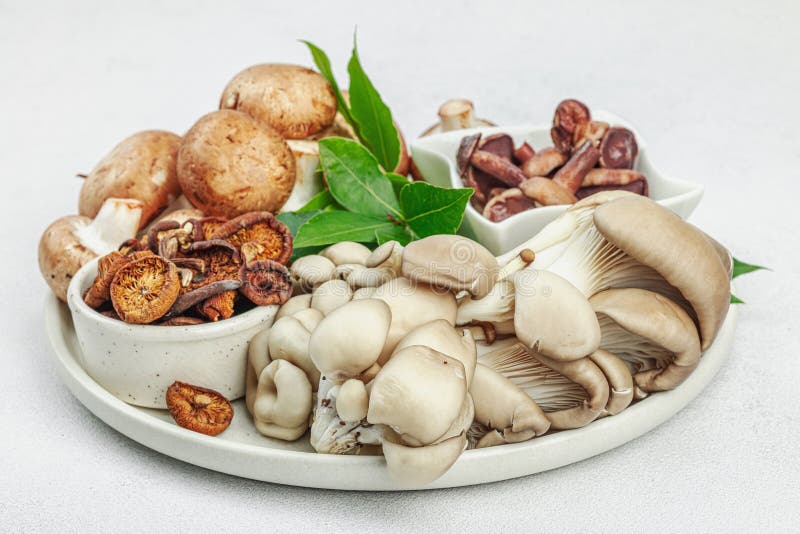 Assortment Of Various Mushrooms Fresh Dried And Pickled Oyster