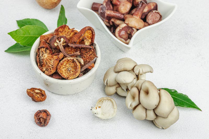 Assortment Of Various Mushrooms Fresh Dried And Pickled Oyster