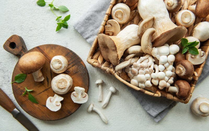Assortment of Various Mushrooms Stock Image - Image of vegetable ...