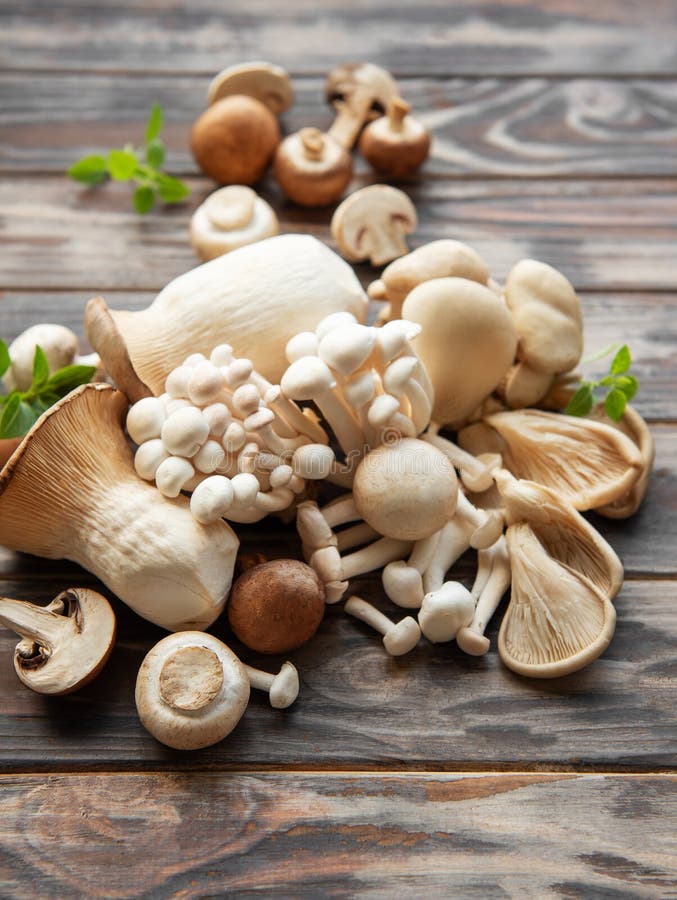 Assortment of Various Mushrooms Stock Photo - Image of seasonal ...