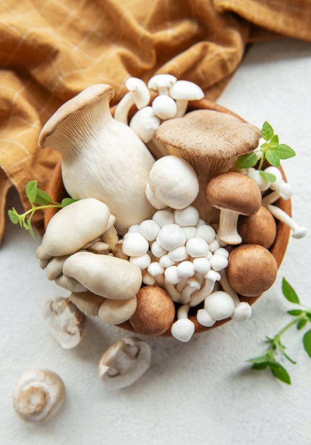 Assortment of Various Mushrooms Stock Photo - Image of fungus, organic ...