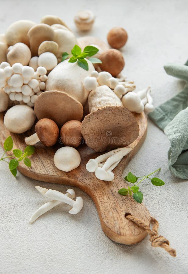 Assortment of Various Mushrooms Stock Photo - Image of fungus, organic ...
