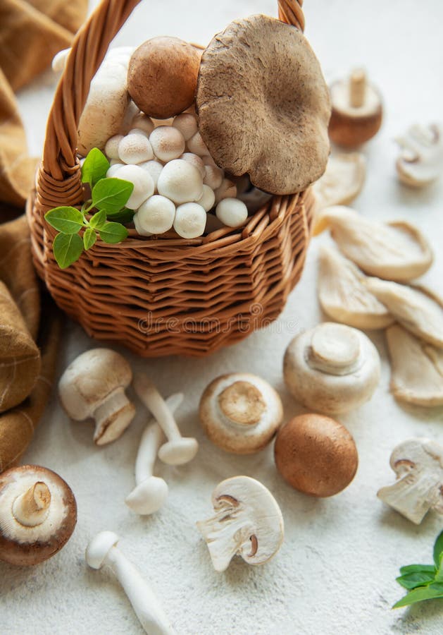 Assortment of Various Mushrooms Stock Photo - Image of fungus, organic ...