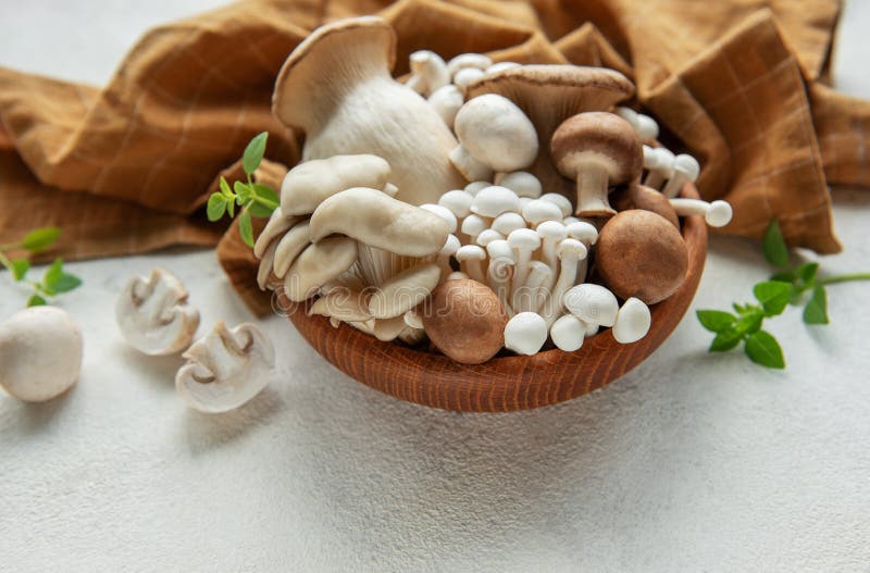 Assortment of Various Mushrooms Stock Photo - Image of fungus, organic ...