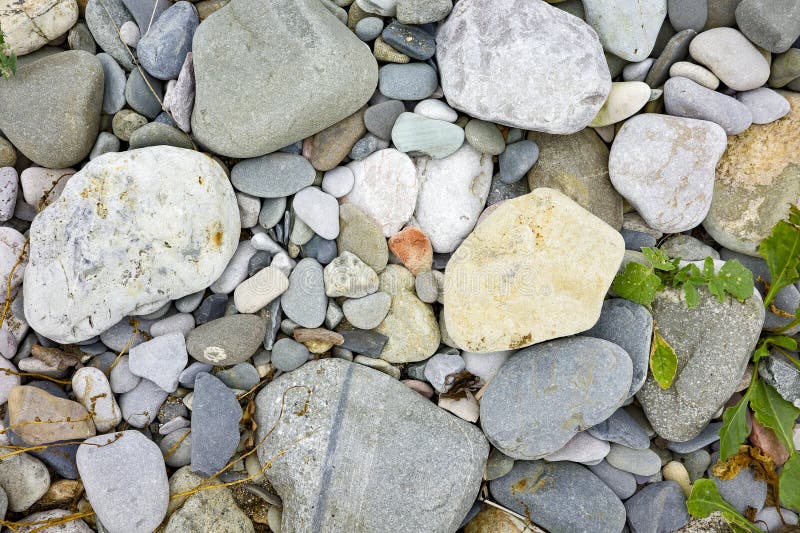 Assortment of Variously Sized an Colored Stones on a Beach Shoreline ...