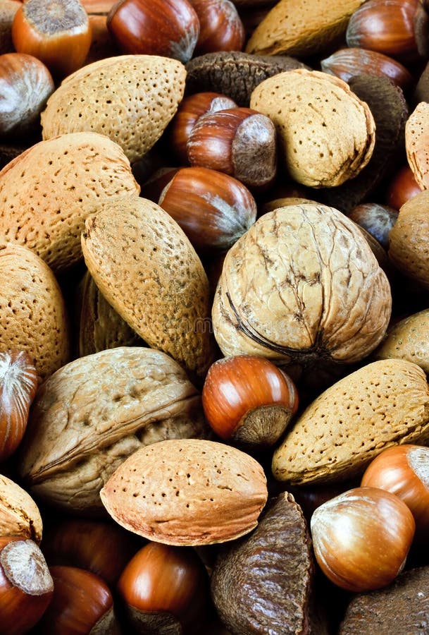 Bag of Mixed Nuts stock image. Image of healthy, nylon - 28384023