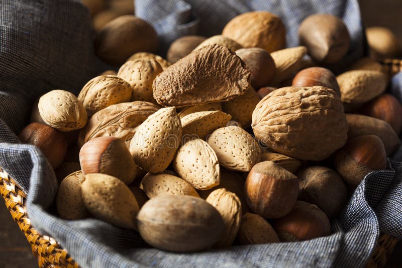 Assortment of Whole Raw Mixed Nuts Stock Image - Image of nutrition ...