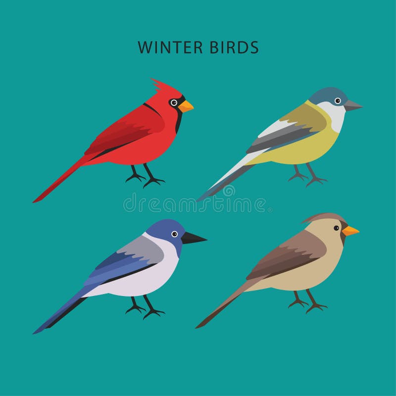Birds in Flat Style Vector Collection Stock Vector - Illustration of ...