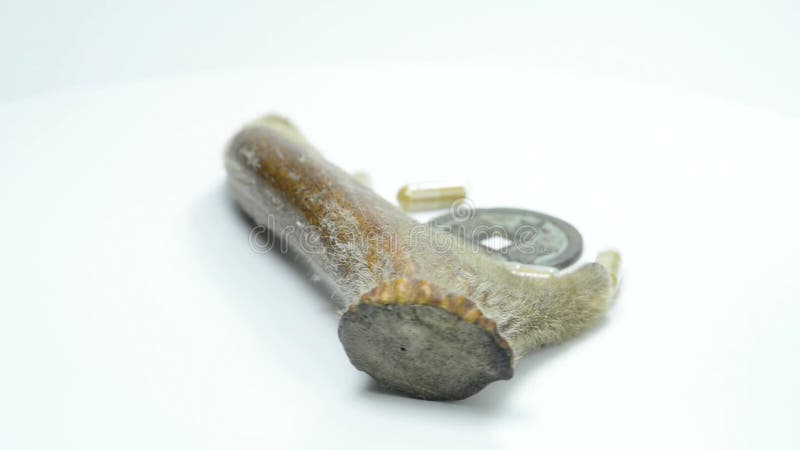 Medicina China Una Guijia Completa O Testudinis Carapax Et Plastrum O ...