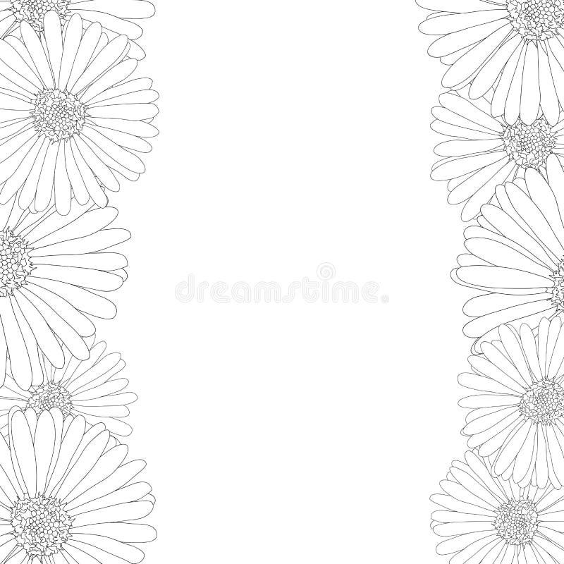 Aster, Daisy Flower Outline Border. Vector Illustration Stock Vector ...