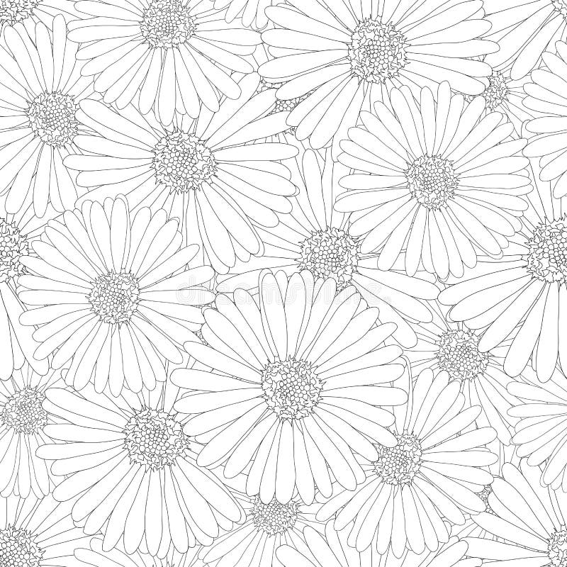 Daisy Outline Stock Illustrations – 4,057 Daisy Outline Stock ...