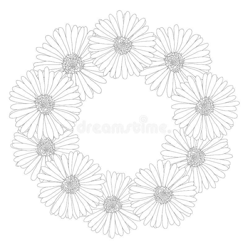 Aster, Daisy Flower Outline Wreath Vector Illustratie Vector ...
