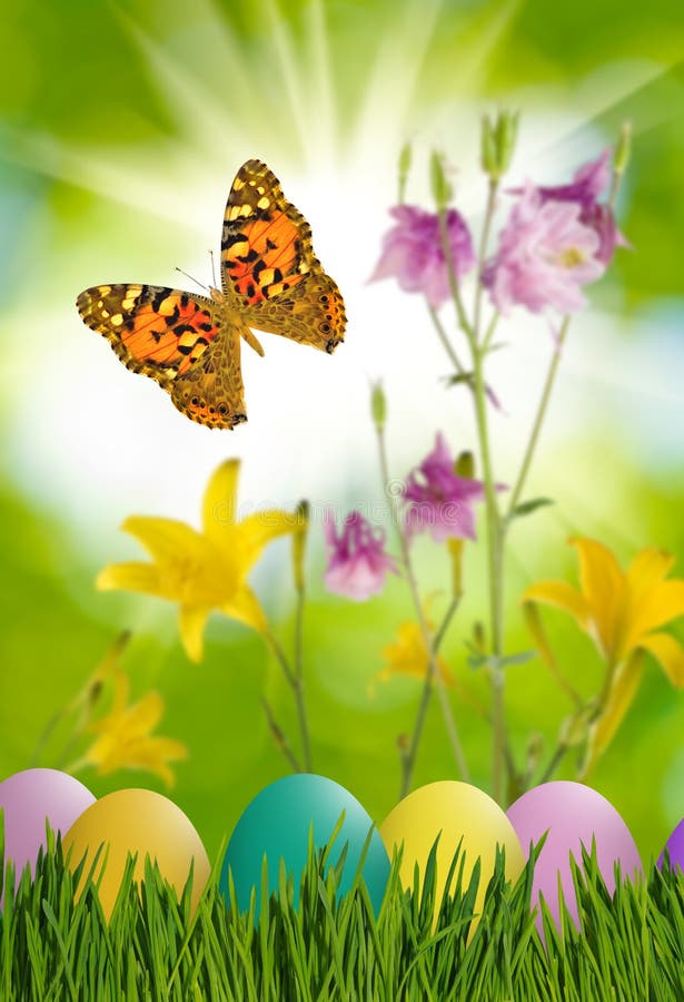 Aster Eggs in Grass, Butterfly on Sky Background and Flowers Stock ...