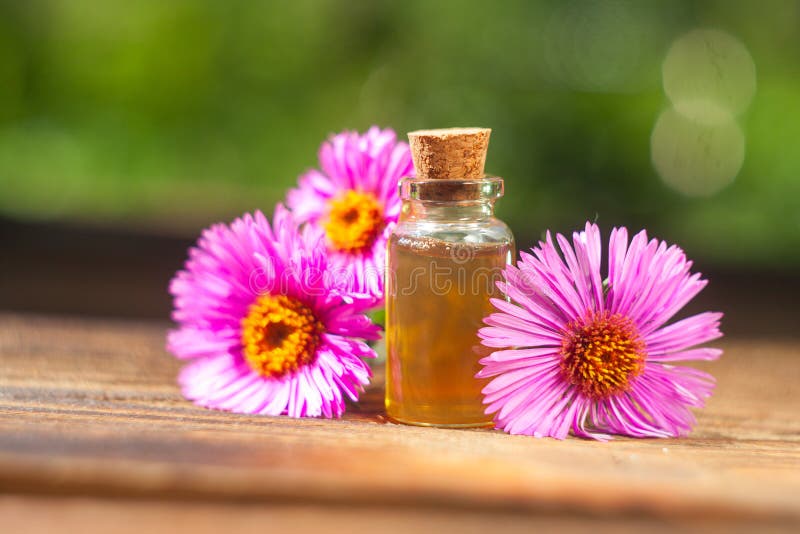 Aster Essential Oil in Beautiful Bottle on Table Stock Photo - Image of ...
