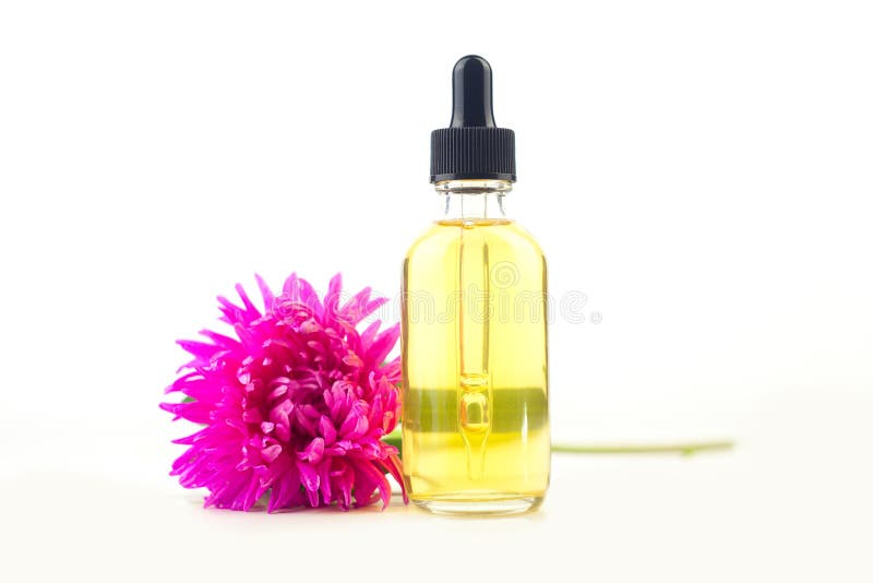 Aster Essential Oil in Beautiful Bottle on White Background Stock Photo ...