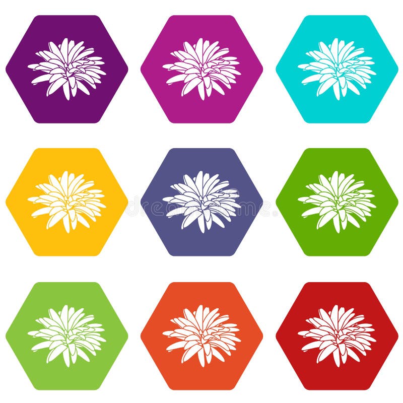 Aster Flower Icons Set 9 Vector Stock Vector - Illustration of element ...