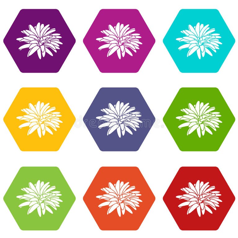 Aster Flower Icons Set 9 Vector Stock Vector - Illustration of element ...