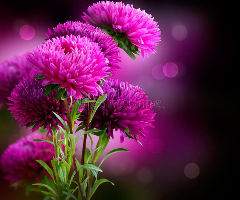 472,918 Flowers Art Richwoods Stock Photos - Free & Royalty-Free Stock ...