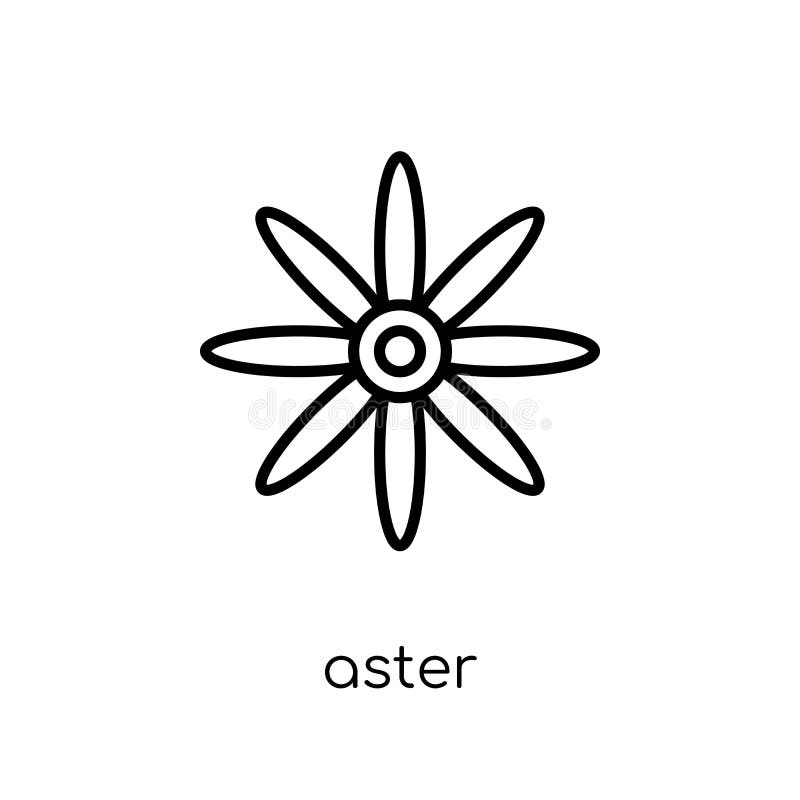 Aster Icon. Trendy Modern Flat Linear Vector Aster Icon on White Stock ...