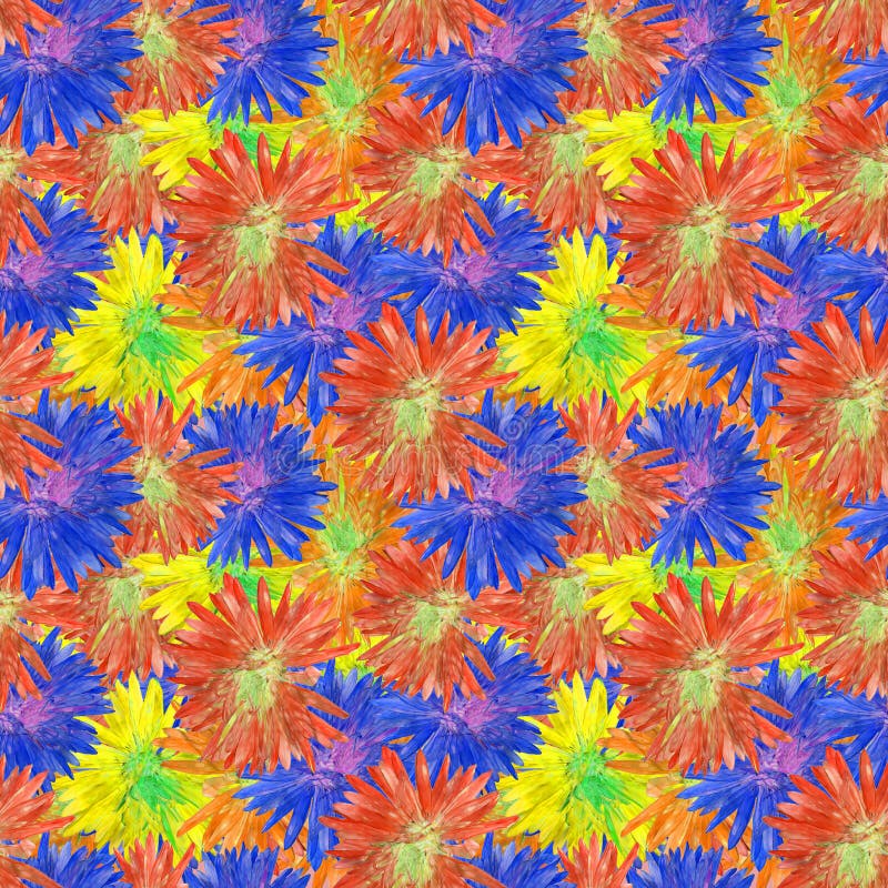 Aster, Michaelmas Daisy. Seamless Pattern Texture of Flowers. Fl Stock ...