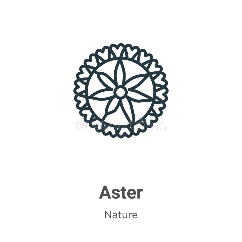 Aster Outline Vector Icon. Thin Line Black Aster Icon, Flat Vector ...