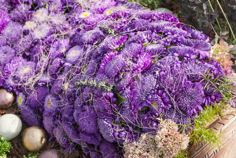 Aster Violet Bouquet stock photo. Image of blossom, decoration - 27054854