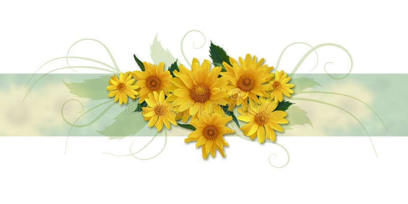 Asteres stock de ilustración. Ilustración de planta, verde - 14534648