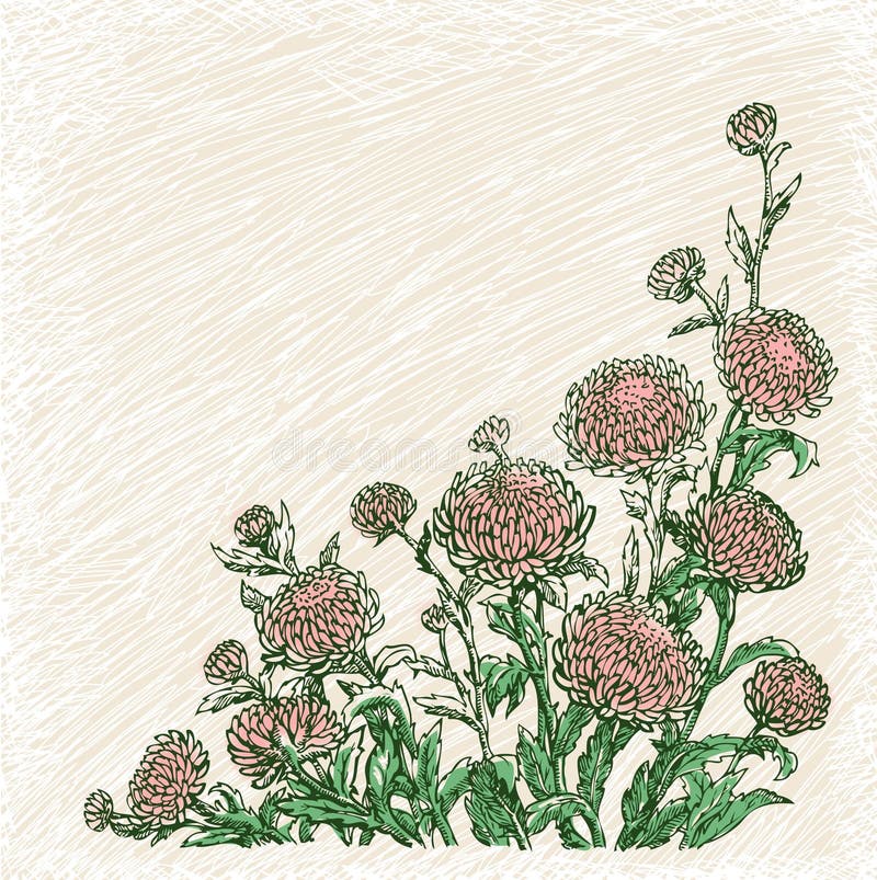 Asteres ilustración del vector. Ilustración de formado - 28155483