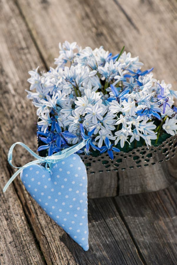 Asterisco azul foto de archivo. Imagen de azul, blanco - 39638418