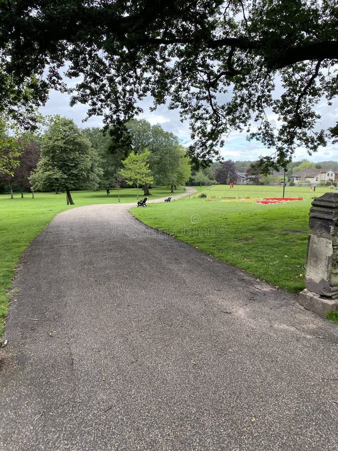 Astley Park in Chorley stock photo. Image of forrest - 249089156