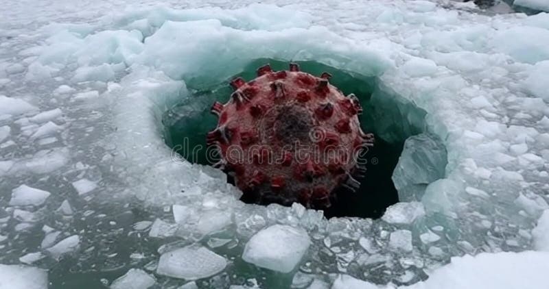 Discovering a Mysterious Creature in Icy Waters during an Extraordinary ...