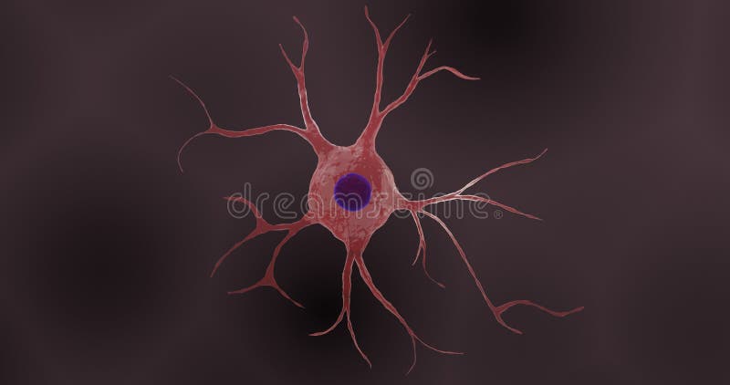 Astrocyte or Astroglia in 3D Illustration Stock Illustration ...