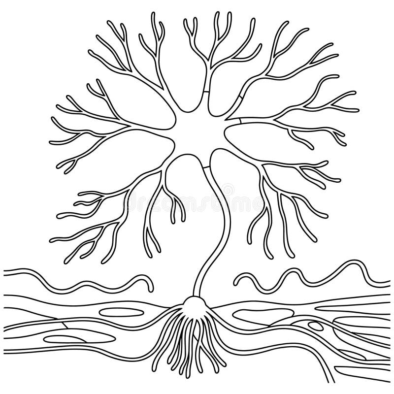 Astrocyte Neural Network Vector Artistic Interpretation of Star-Shaped ...