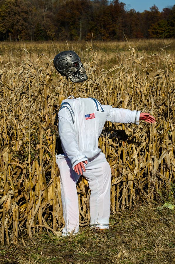 Scary Haunted Corn Field Alien Stock Photos - Free & Royalty-Free Stock ...